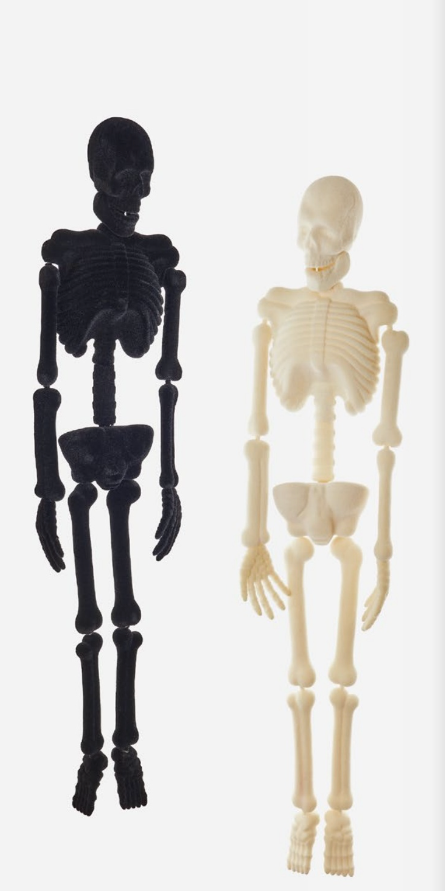 Flocked Skeleton – Social Revelry